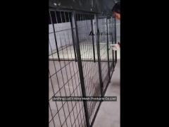 6ft height welded steel dog kennel powder coated dog run house