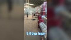 Strong Deer Fence 8 Ft Height Galvanized Wire Mesh