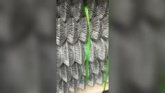 Durable Chain Link Fence Solutions for Garden and Security