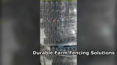 Durable 10 Gauge Galvanized Chain Link Fence Solutions