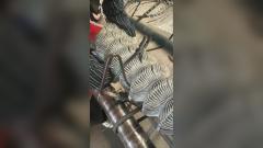 Durable PVC Coated Chain Link Fence for Maximum Security