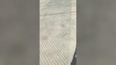 PVC Coated Chain Link Fence for Industrial Security