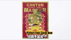 66x91 Trading Sport Card Sleeves Printed Color Gift PP TCG Hard Card Protectors