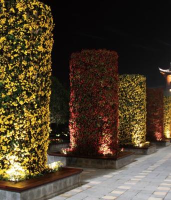 China 30w JRD5-24B/18B/12B/9B led buried light for sale