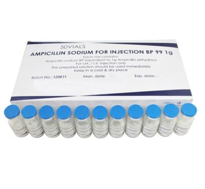 China Ampicillin Sodium for Injection 1g/10ml 10vials/box or 50vials/box for sale