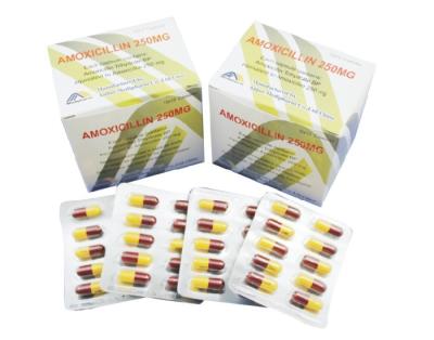 China Amoxicillin Capsules  250mg 500MG BP / USP /CP Antibiotics Medicines for sale
