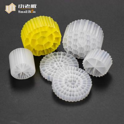 Cina Reattore a biofilm PE38 a letto mobile Biofilm Reattore a letto mobile PE38 Biofilm Reattore Biofilm Biofilm Biofilm Reattore Biofilm Biofilm Biofilm Biofilm Biofilm Biofilm Biofilm Biofilm Biofilm Biofilm Biofilm Biofilm Biofilm Biofilm Biofilm Biofilm Biofilm Biofilm Biofilm Biofilm Biofilm Biofilm Biofilm Biofilm Biofilm Biofilm Biofilm Biofilm Biofilm Biofilm Biofilm Biofilm Biofilm Biofilm Biofilm Biofilm Biofilm Biofilm Biofilm Biofilm Biofilm Biofilm Biofilm Biofilm Biofilm Biofilm Biofil in vendita