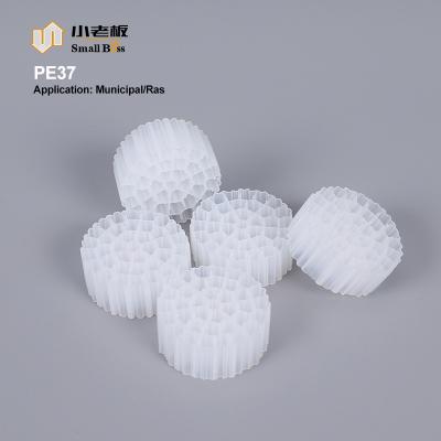 China Aeration Aquaculture Mbbr Media K3 Media For Wastewater Treatment for sale
