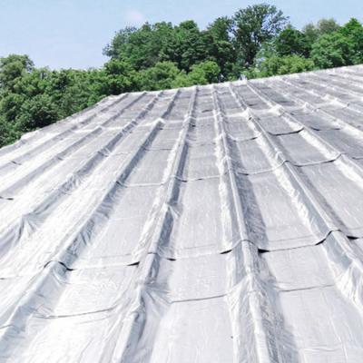 Cina La prova SBS Asphalt Self Adhesive Foundation Membrane della perdita impermeabilizza in vendita