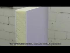 Riduzione di rumore del pannello a sandwich del poliuretano dell'isolamento termico di conservazione frigorifera 50kg/m3