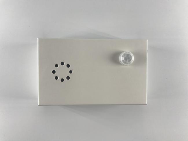 Motion activated speaker product view showing design and placement options