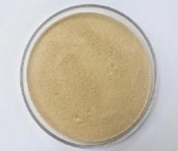 China Advanced Rare Earth Catalyst With Melting Point 2 For Industrial Applications for sale