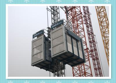 China Equipamento de levantamento profissional da grua do material de construção da plataforma à venda