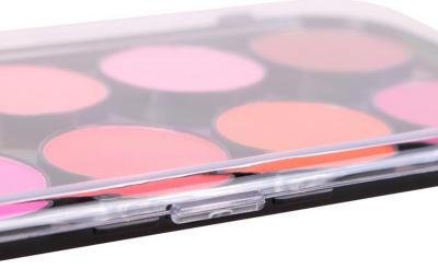 China De privé Make-up van het Etiketgezicht bloost, bloost de Room van de 10 Kleurensteen Waterdicht Te koop