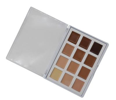 China Private Label Mineral Face Makeup Concealer Palette With Transparent Lid for sale
