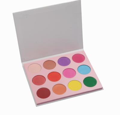 China Kleurrijk de Make-uppalet van de poedervorm, 12 Kleuren van de Kleurenoogschaduw voor Bruine Ogen Te koop