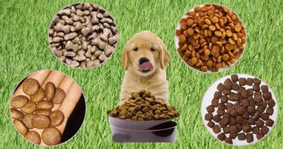 China 1000g Pet Foods Pouch VFFS Packaging Machine With 4 Hoppers Linear Scale for sale