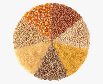 China LC-M4H Nuts Color Sorter Machine Corn Beans Quinoa Color Separator Machine for sale