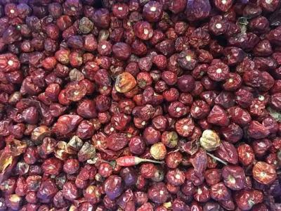 Cina Il selezionatore su misura di colore della frutta lavora i materiali a macchina medicinali cinesi C-M10H in vendita