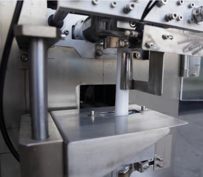 China Customized 5g VFFS Car Desiccant Bag Packaging Machine With Touch Screen for sale
