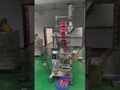 Ganoderma Spore Powder Packaging Machine | 2g 3 Side Seal Sachet Packing with Vacuum Feeder