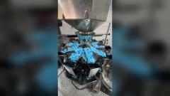 Automatic Rotary Premade Pouch Packaging Machine for 300g Alum Granules