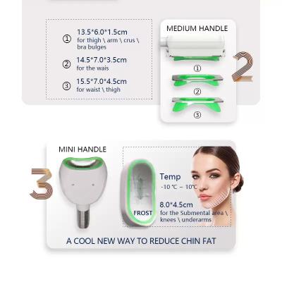 Cina 7 in 1 Cryolipolysis macchina dimagrante Cavitazione RF Fat Freezing Sculpting in vendita
