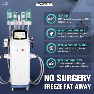 Cina Macchina dimagrante multifunzionale per criolipolisi 9 in 1 macchina Cryo Coolsculpting in vendita