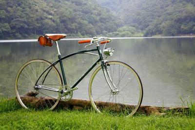 China Caliper brake Chrome steel  big 28 inch old style dutch city bike with Shimano speed and Cowhide seat for sale