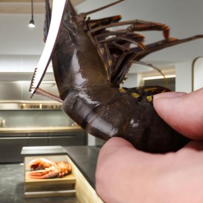 Cina Un coltello ergonomico in acciaio inossidabile per pesci e gamberetti, indispensabile per gli amanti dei frutti di mare in vendita