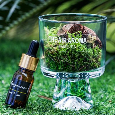 Cina Disegnatore 100ml Moss Diffuser Gift Set Mantenere l'aria fresca con olio profumato creativo in vendita
