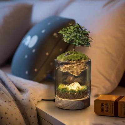 China Modern Tabletop Glass Greenhouses Lamp Fibre Glass Terrariums for Planting Seedling for sale