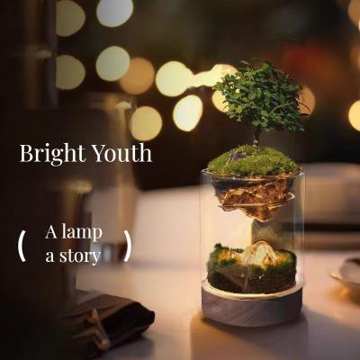 China Modern Tabletop Glass Greenhouses Lamp Fibre Glass Terrariums for Planting Seedling for sale