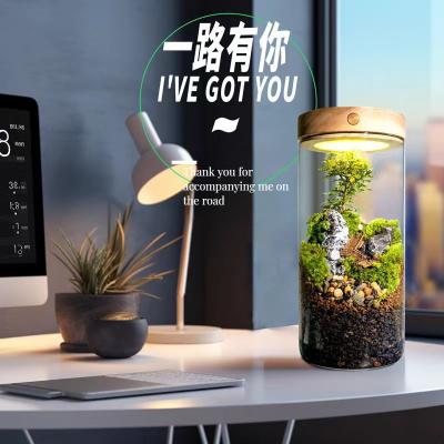 China Modern Tabletop Glass Greenhouses Lamp Fibre Glass Terrariums for Planting Seedling for sale