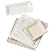 China Advantageous 9 Inch Disposable Dinnerware Sets Environment-friendly and Microwaveable for sale