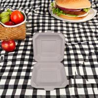 China Biodegradable Disposable Food Container Durable Square Plastic Lunch Boxes with Lids for sale