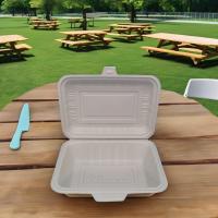 China Biodegradable Disposable Food Container Durable Square Plastic Lunch Boxes with Lids for sale