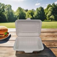 China Biodegradable Disposable Food Container Durable Square Plastic Lunch Boxes with Lids for sale