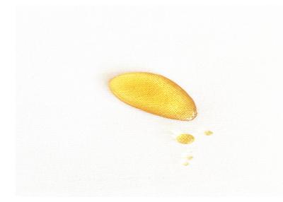 Cina Uso statico tessuto dell'indumento del tessuto dell'acqua e dell'olio della saia del cotone del poliestere anti in vendita