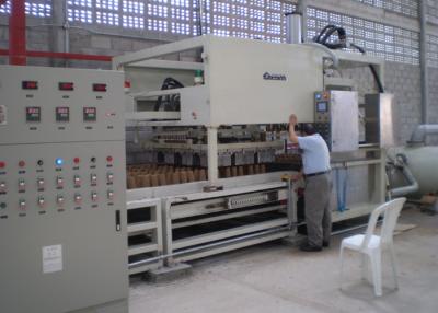 Cina 1800Pcs/macchina del cartone modellata H dell'uovo della polpa in pieno automaticamente in vendita