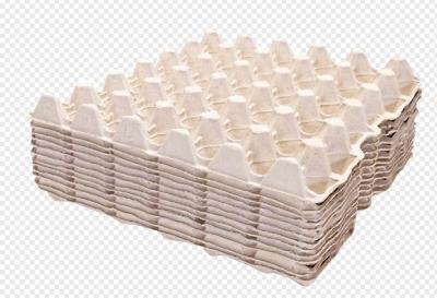 China Paper Molding Pulp Egg Tray Shoe Tree Egg Box  Making Machine Simens for sale
