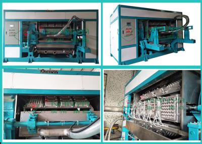 China Waste Paper Pulp Molding Euipment Rotary Egg Tray / Egg Box Machine for sale
