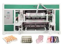 China Full Automatic Moulding Pulp Egg Tray Machine with 4000 Pcs/H for sale