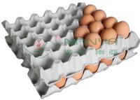 China Eco - Friendly Egg Carton Making Machine Constituted By Hydrapulper System for sale