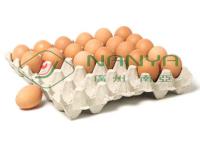 China Rotating Paper Egg Tray / Egg Carton Making Machine , Pulp Moulding Machine for sale