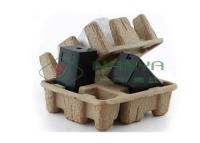 China High Efficiency Fruit Paper Tray Making Machine Forming - drying process 2000Pcs/H for sale