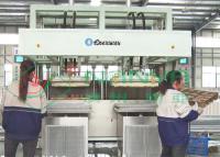 China 80kg/h Pulp Tray Machine for TV Packaging | 800×600mm Mould Plate | Waste Paper Recycling Equipment for sale