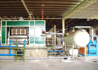 中国 自動パルプの 1 時間あたりの 6 つの層の乾燥ライン 3000pcs が付いている形成の卵の皿機械 販売のため