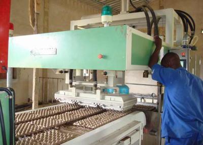 China Waste Paper Pulp Tray Machine 2000Pcs/H , Professional Egg Tray Manufacturing Machine for sale