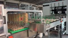 Fully Automatic Egg Carton Making machine/ Mass production Egg tray/ Carton Making amchine
